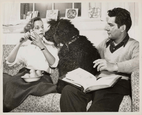 Morrison, George (1919–2000) | MNopedia